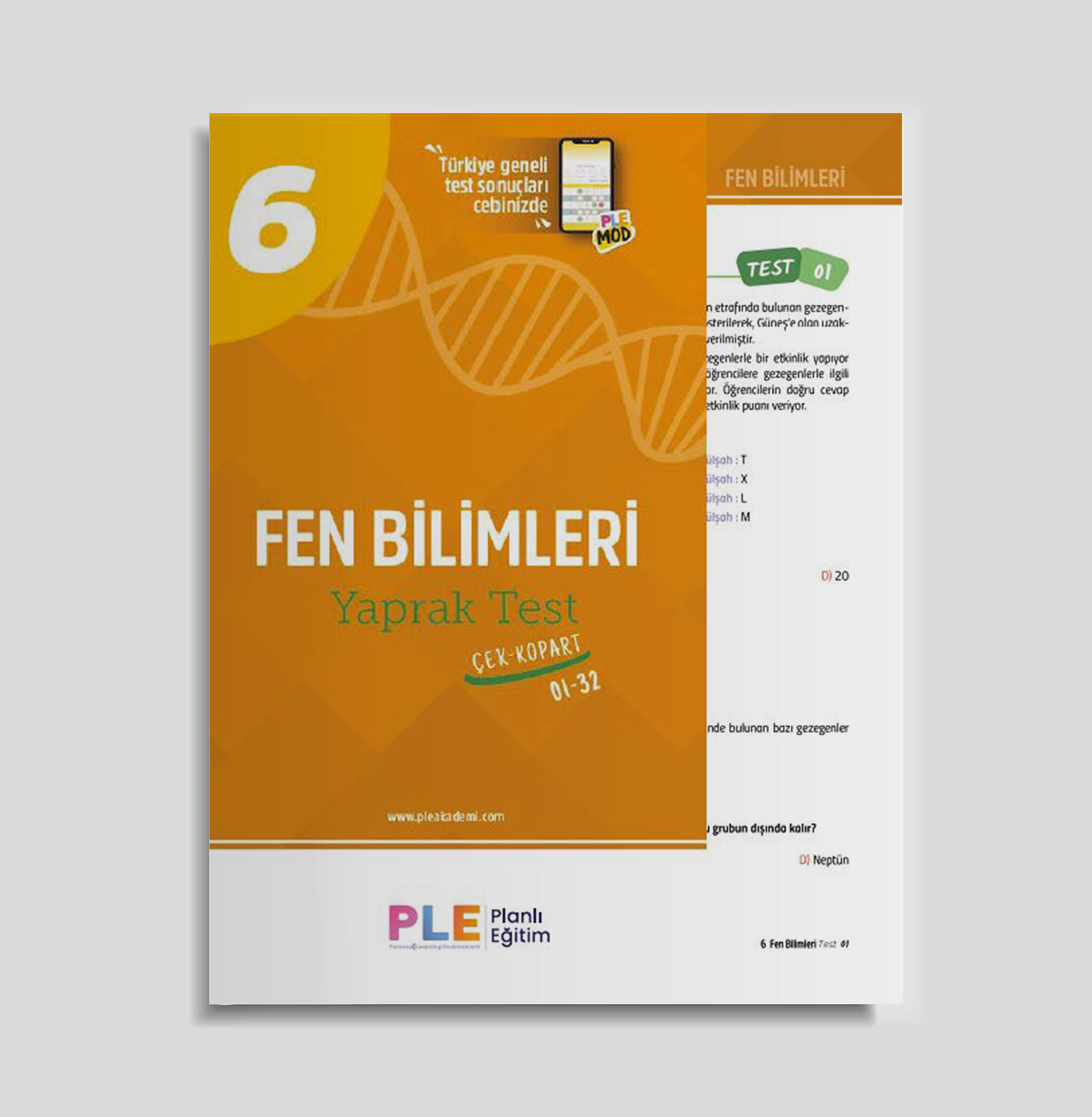Fen Bilimleri arşivleri - PLE Akademi - Digipo
