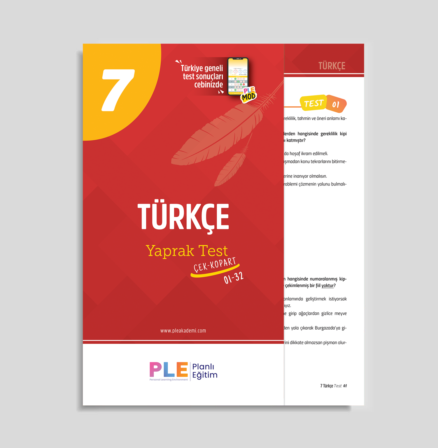 7. Sınıf arşivleri - PLE Akademi - Digipo